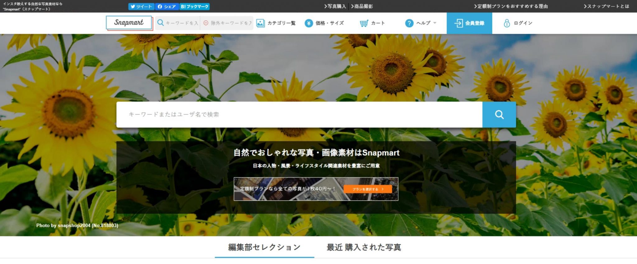 スクリーンショット 2021-08-17 221630 | 株式会社マイティーエース- MightyAce Inc.